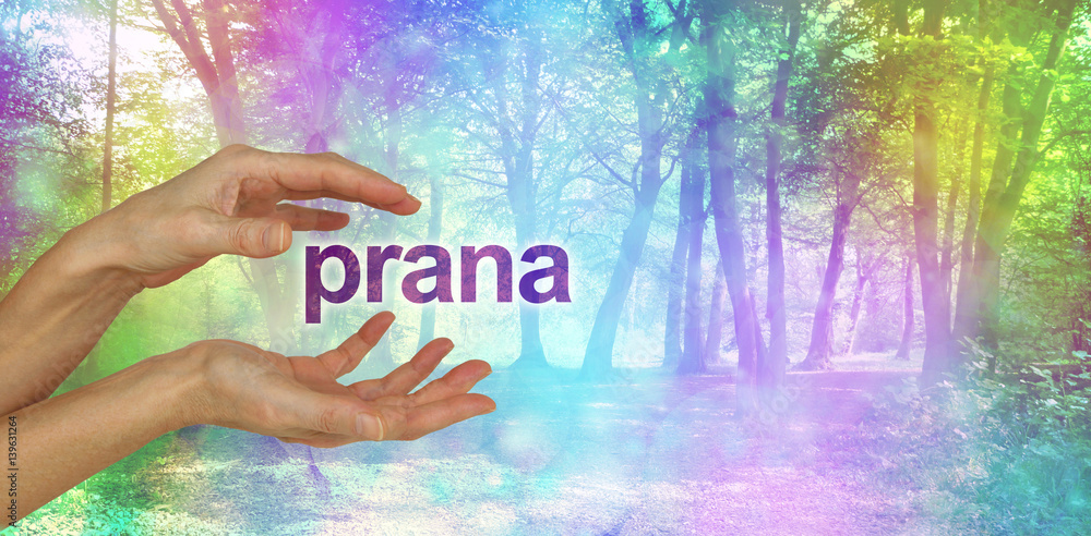 Beautiful Prana Healing Energy - female hands with the word PRANA ...
