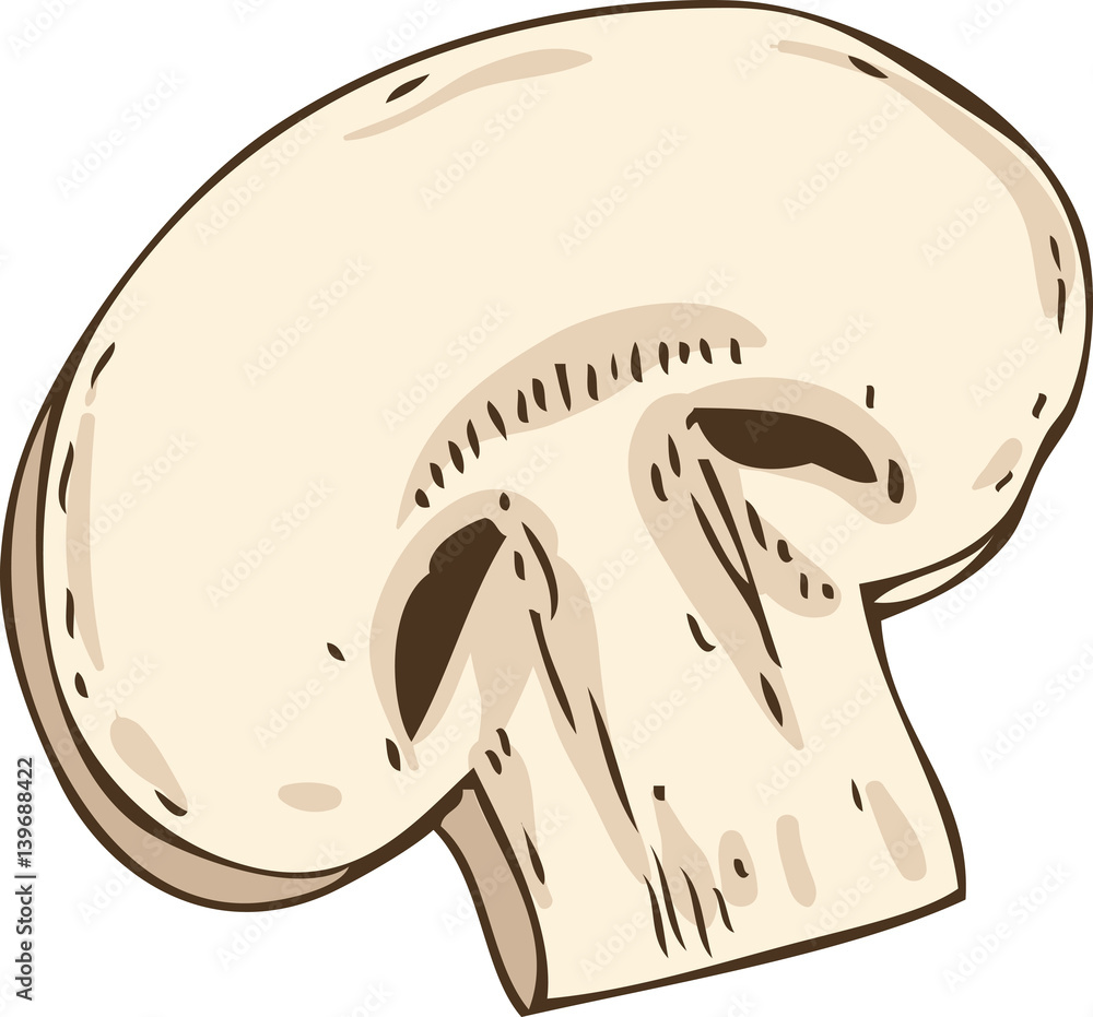Mushroom Slice Stock Vector | Adobe Stock