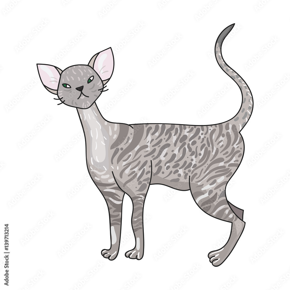 Cornish Rex icon in cartoon style isolated on white background. Cat ...