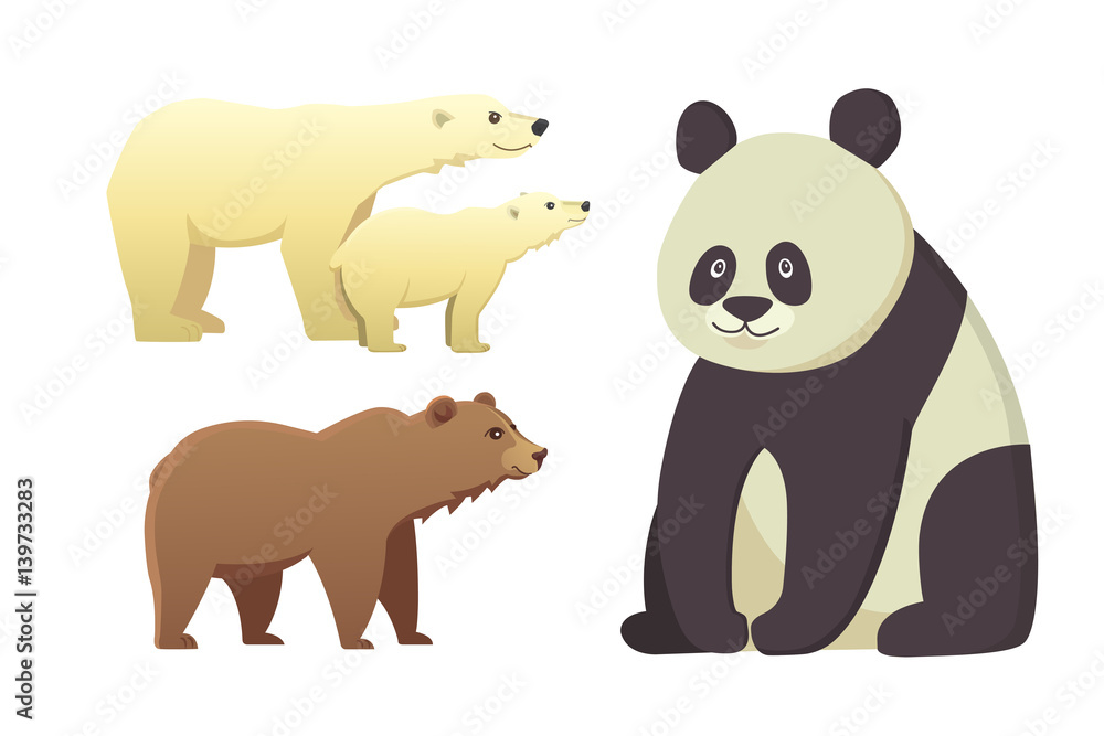 Collection with different cartoon bears isolated on white background ...