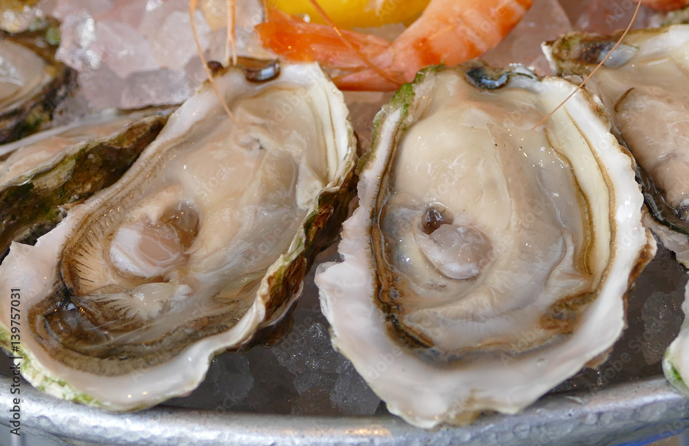 Auster Stock-Foto | Adobe Stock