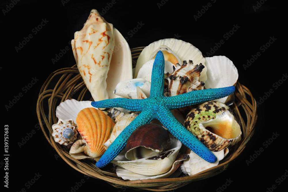 Starfish and seashells. Seafood. Still life on a black background Stock ...