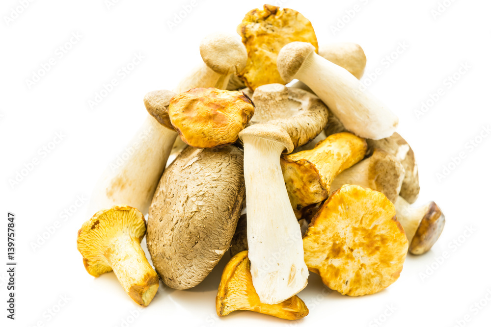 Diverse Edelpilze isoliert Stock-Foto | Adobe Stock