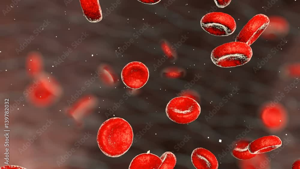 Red blood cells in an artery. Erythrocytes moving in the blood stream ...