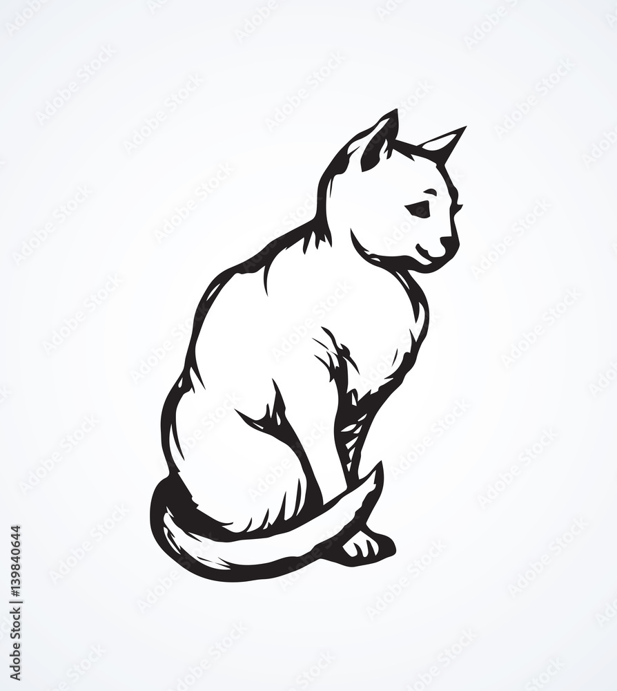 Cat. Vector drawing Stock Vector | Adobe Stock