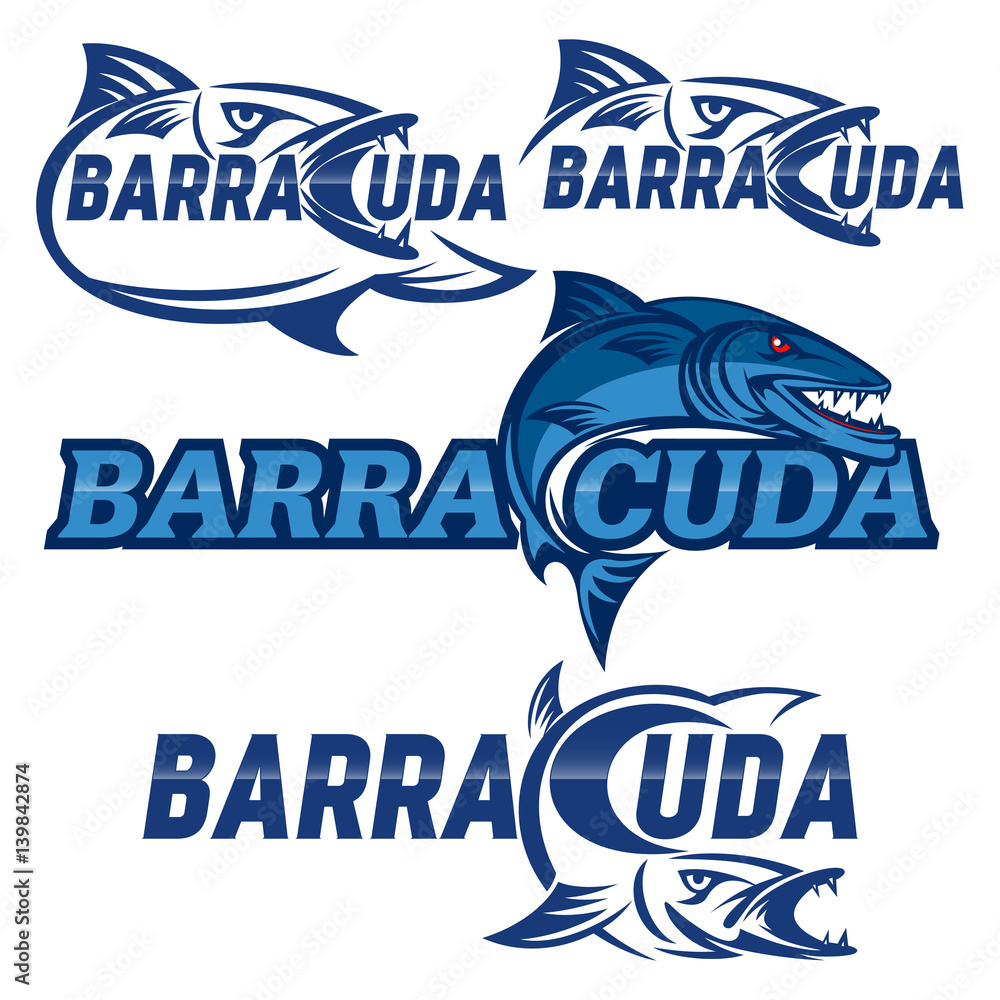 Barracuda logo Stock Vector | Adobe Stock