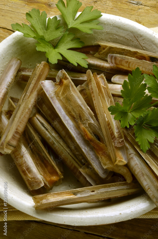 Solen marginatus Grooved Razor Shell Cannolichi Couteau-gaine ...