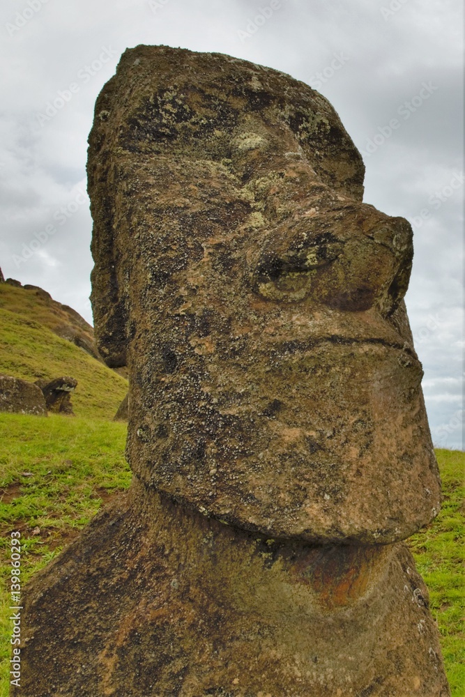 Long shot of Moai statues at the famous Moai statue quarry around the ...