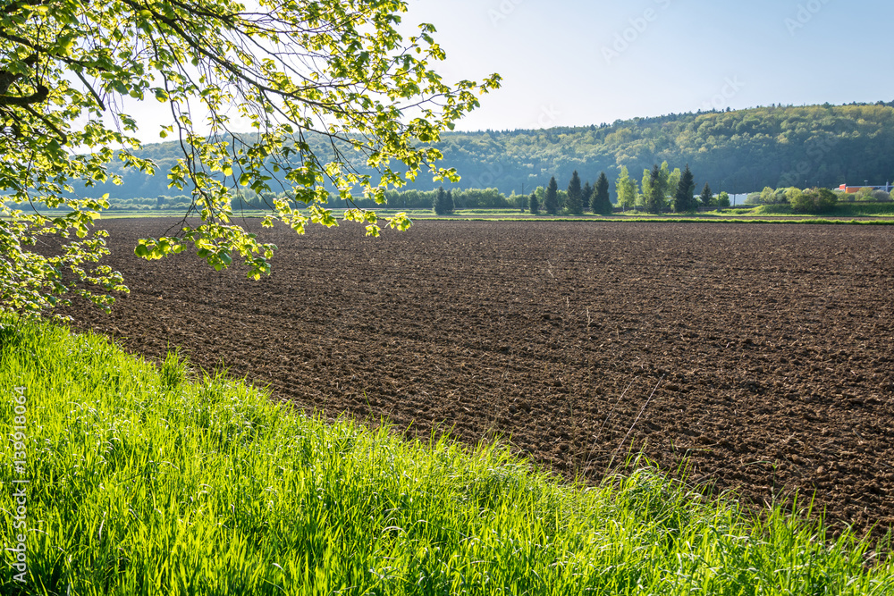 Feld im Frühling Stock-Foto | Adobe Stock