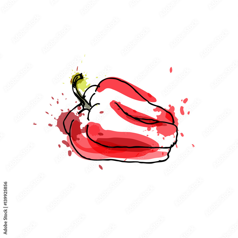 Pepper, drawing by watercolor and ink with paint splashes on white ...