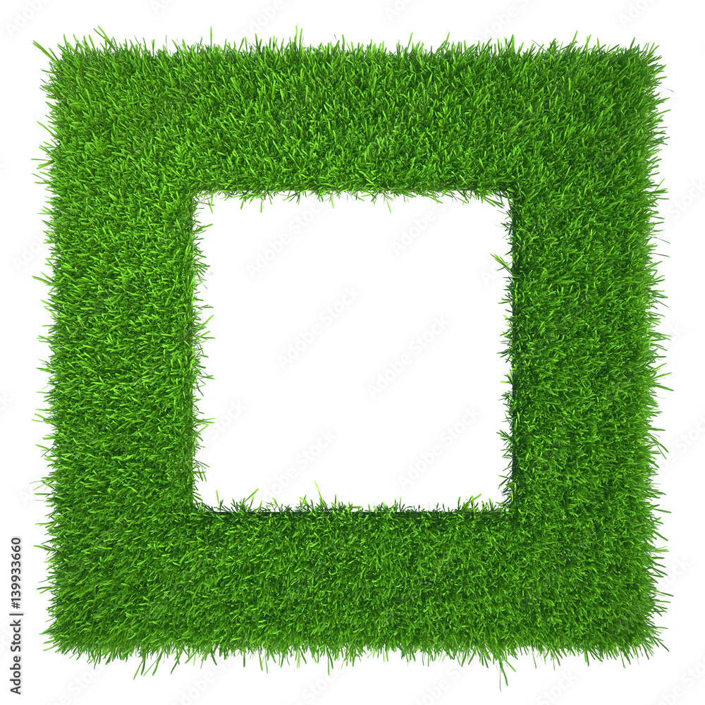 Green Square Outline