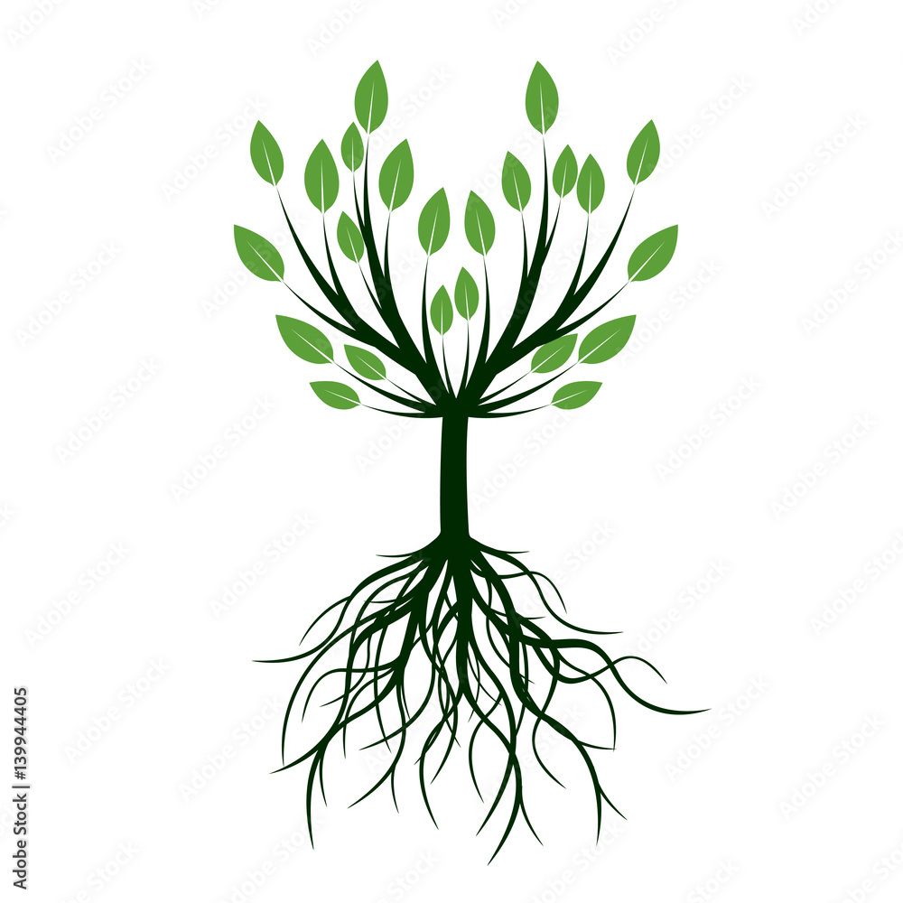 Green Tree with Roots. Vector Illustration. Stock Vector | Adobe Stock