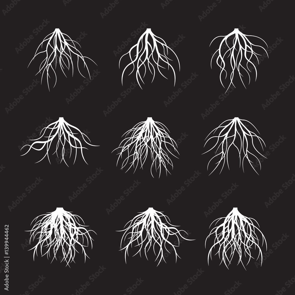 Big Set of white Roots. Vector Illustration. Stock Vector | Adobe Stock