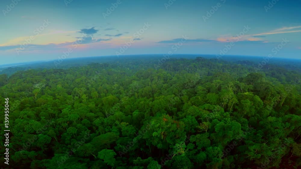 Aerial Shot of Amazon Rainforest vídeo do Stock | Adobe Stock