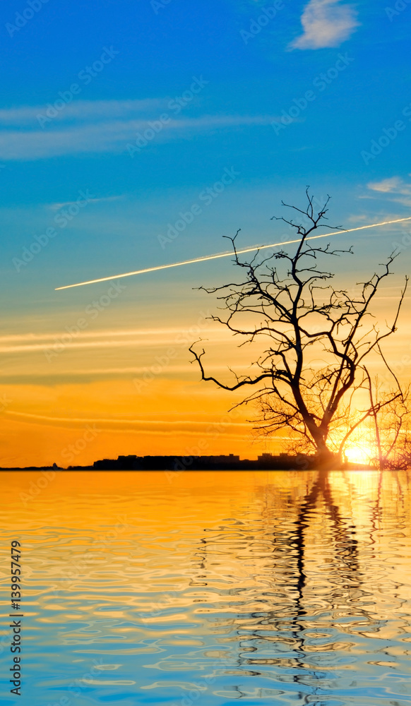 autumn trees on water background Stock Photo | Adobe Stock