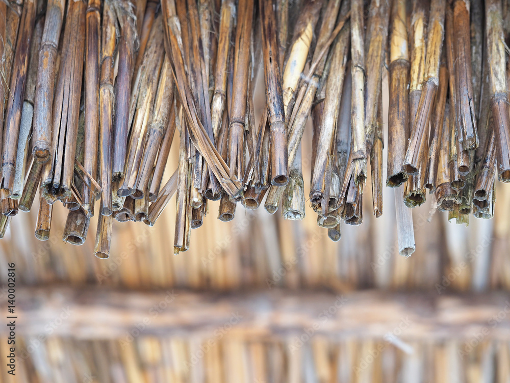 Old wet cane roof background. Cut thatched reed stalks after rain ...