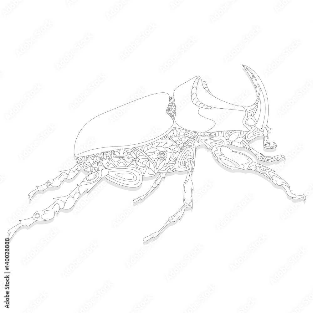 Beetle. Hand drawn sketch. Stock Vector | Adobe Stock