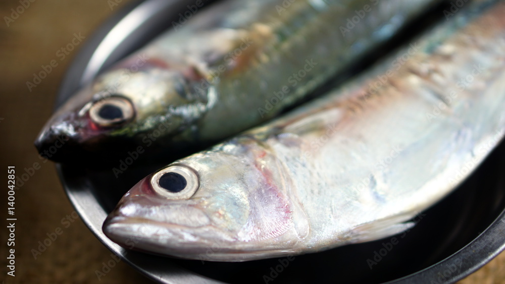 Indian mackerel fish. Species of mackerel family, commonly found in the ...