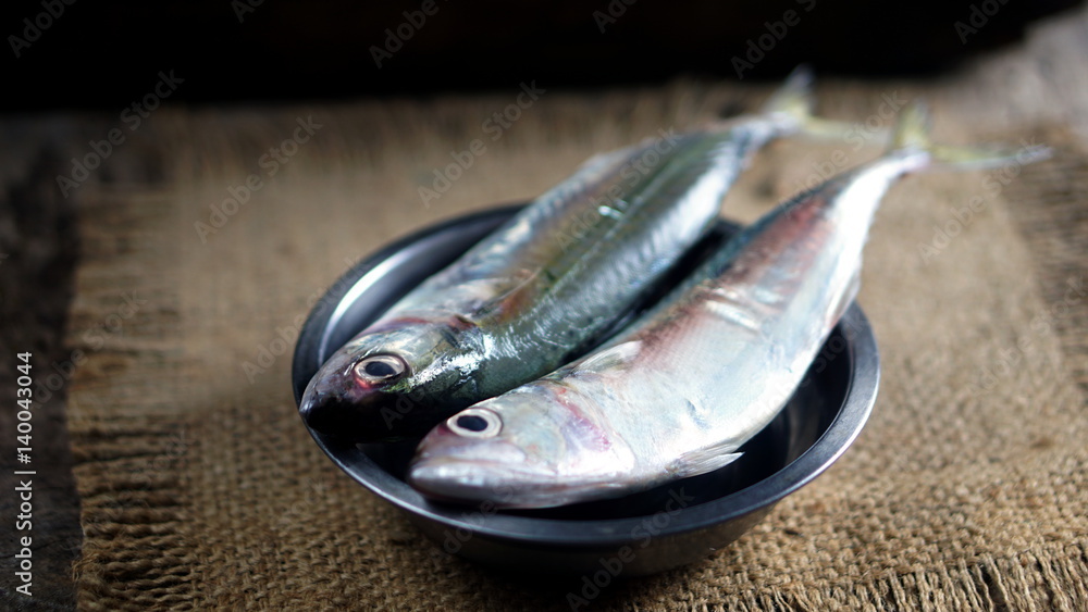 Indian mackerel fish. Species of mackerel family, commonly found in the ...