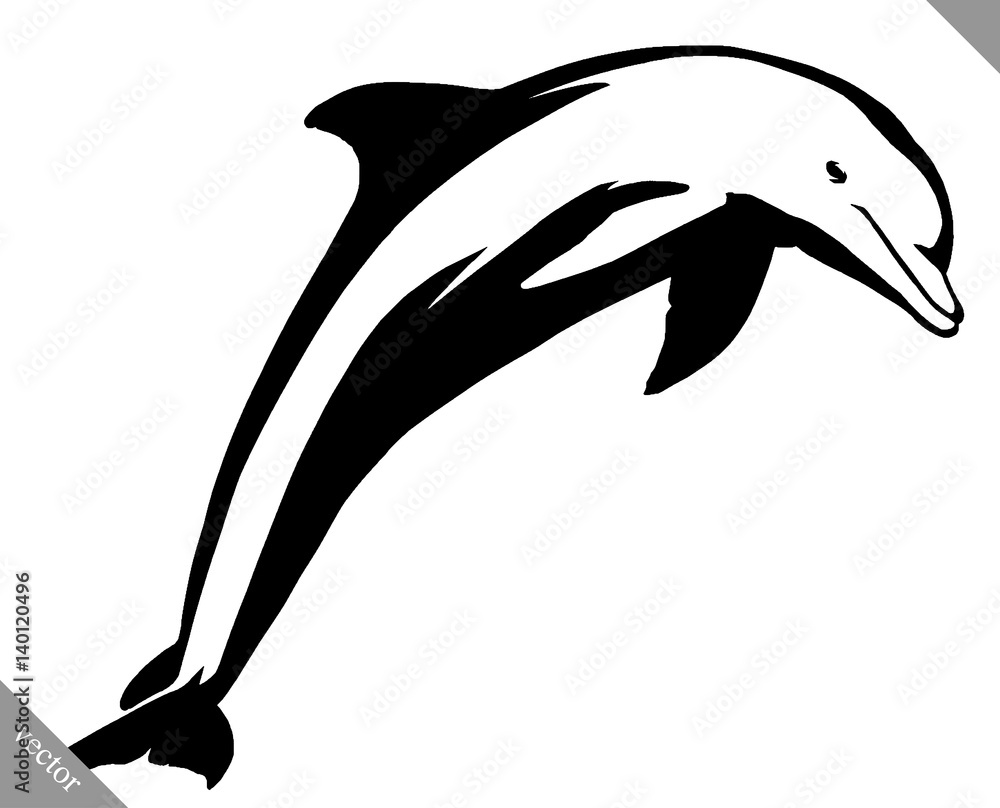 black and white linear paint draw dolphin illustration Stock Vector ...