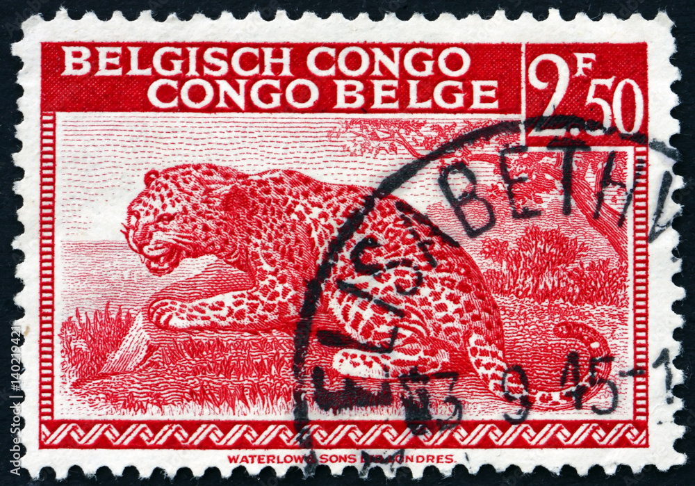 Congo Leopard