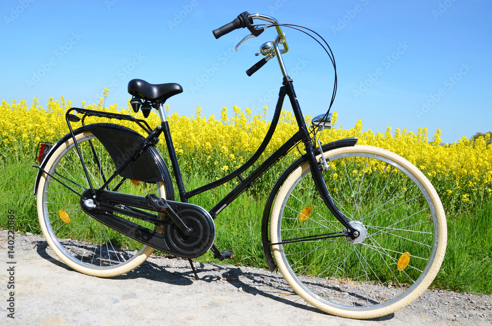 Hollandrad in der Natur Photos | Adobe Stock