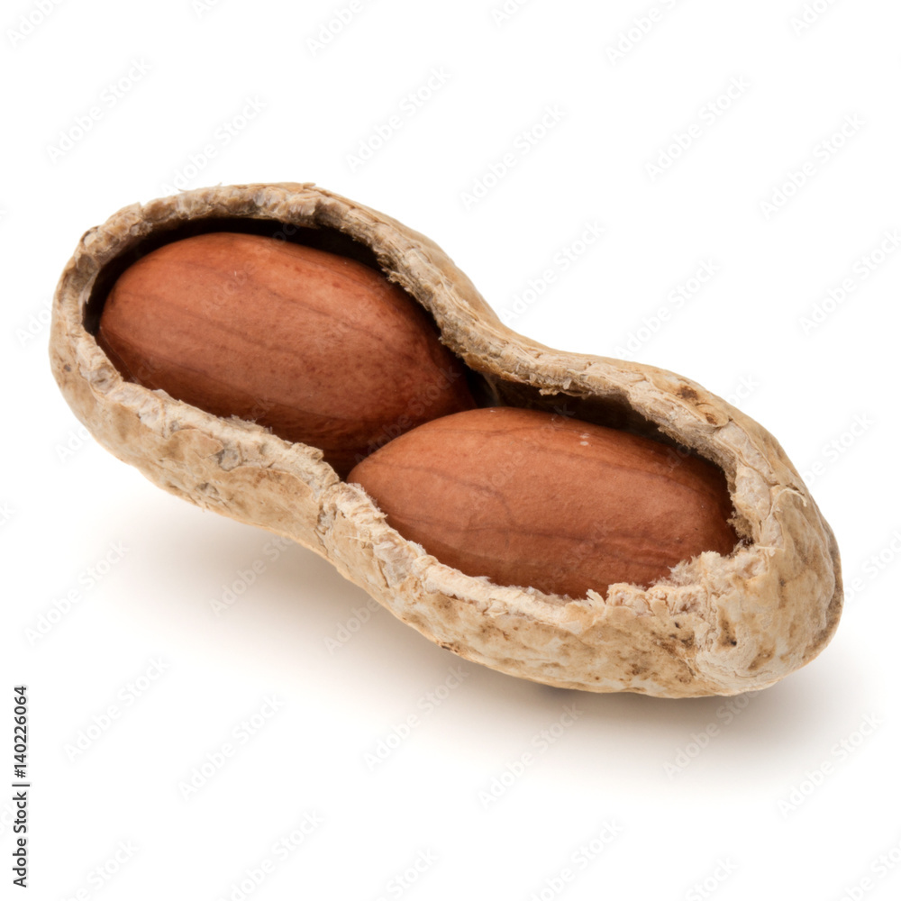 Opened peanut or groundnut pod isolated on white background close up ...