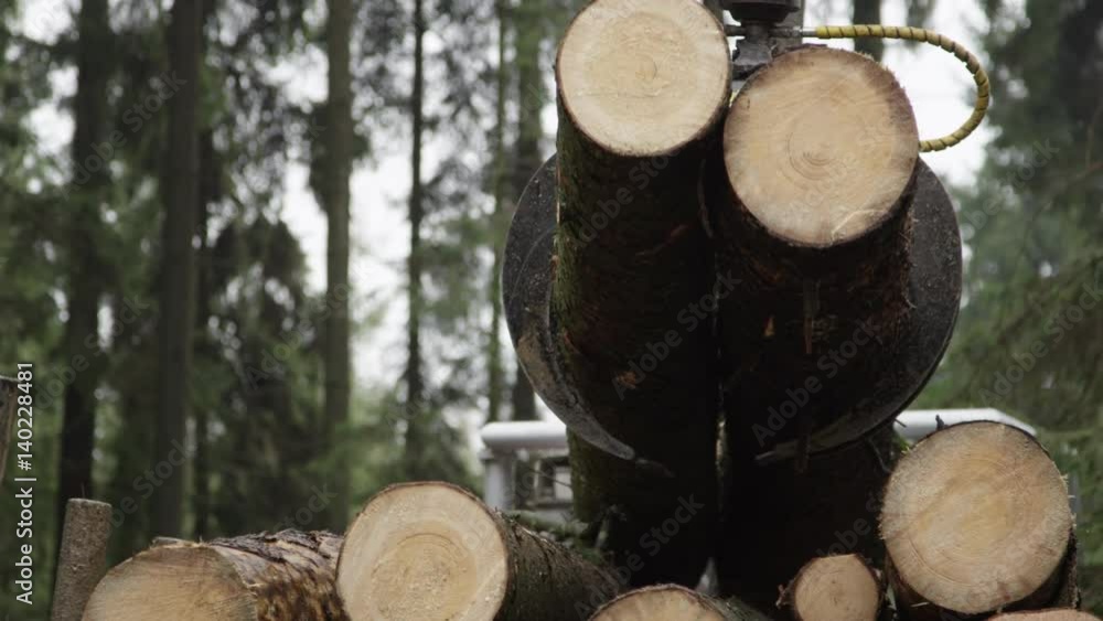 CLOSE UP DOF Swing arm putting delimbed cut logs and tree trunks on log ...
