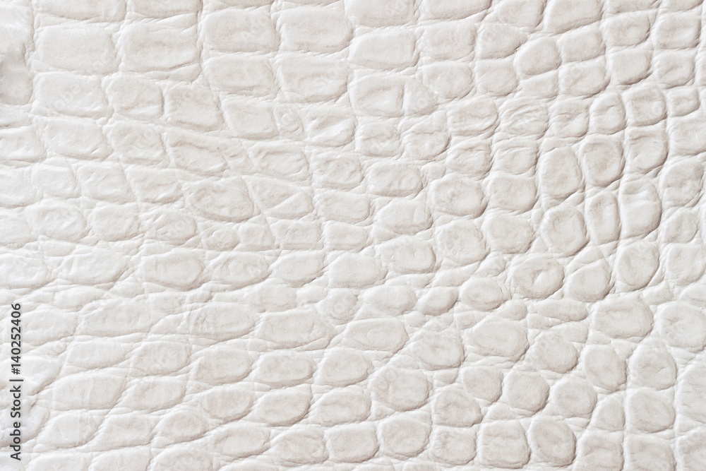 Crocodile Scale Texture