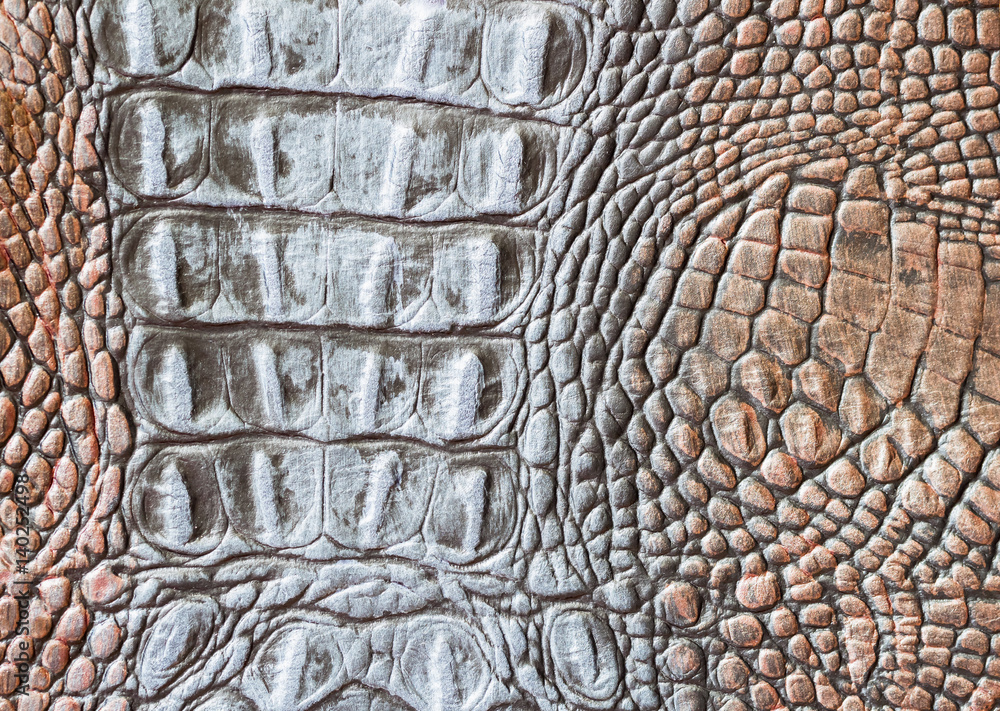 Texture of genuine leather close-up, embossed under the squama skin a ...