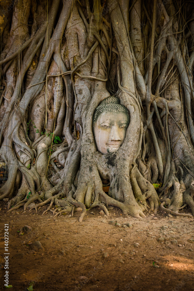 Buddha Head Tree Wat Maha That (Ayutthaya) Stock Photo | Adobe Stock
