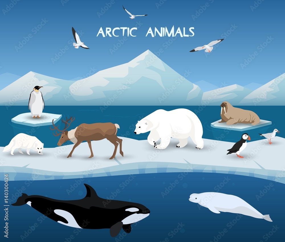 Collection of arctic animals in a background of arctic scenery Stock ...