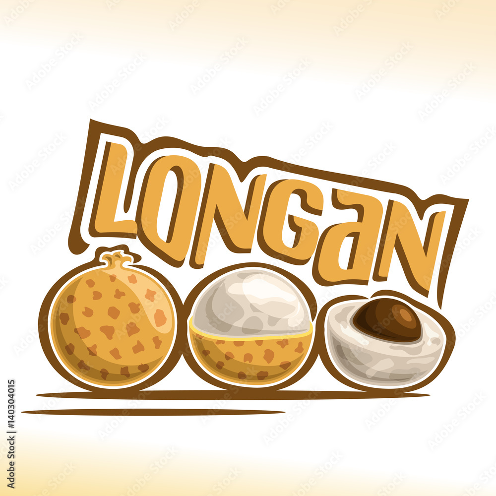 Vector logo Longan Fruit: still life of 3 whole and sliced peeled half ...