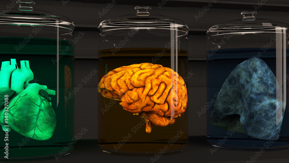 Human Organs in Science Laboratory Glasses Stock Illustration | Adobe Stock