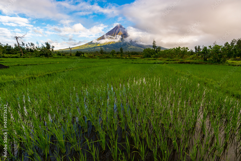 Mayon Volcano and rice fields Stock Photo | Adobe Stock