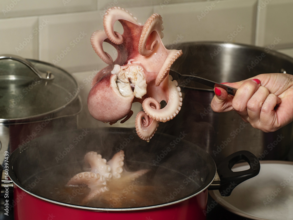 Woman holding boiled octopus on a fork. Stock Photo | Adobe Stock