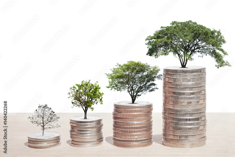 Concept of money tree growing from coins, isolated on white background ...