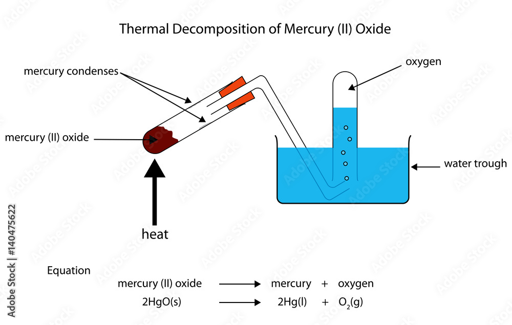 Poster Fully labelled illustration of thermal decomposition of mercury ...