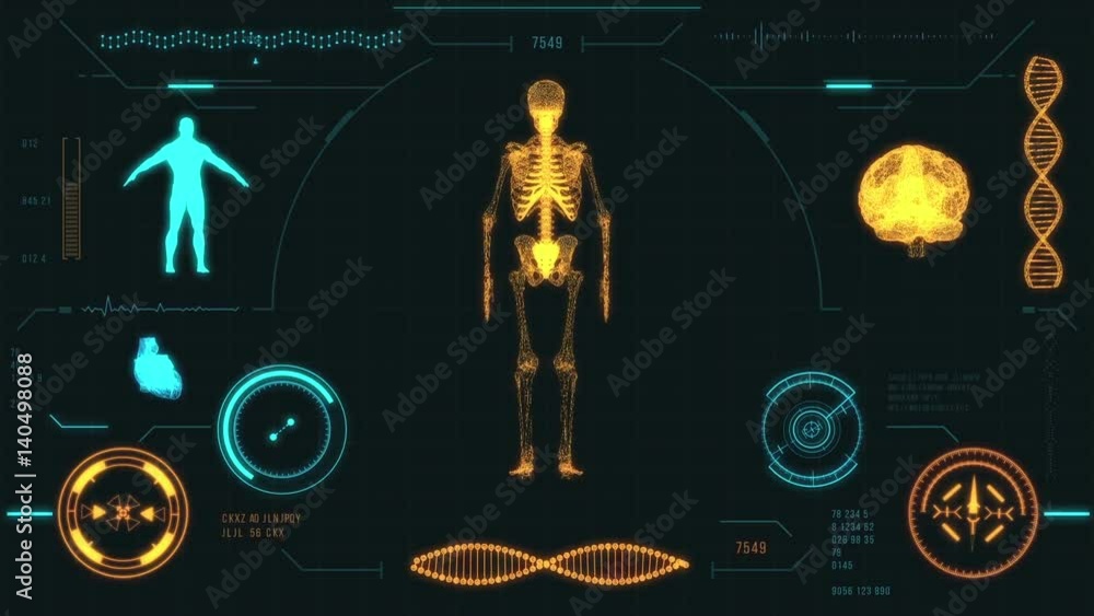 Vidéo Stock Human skeleton scan. Futuristic medical user interface with ...