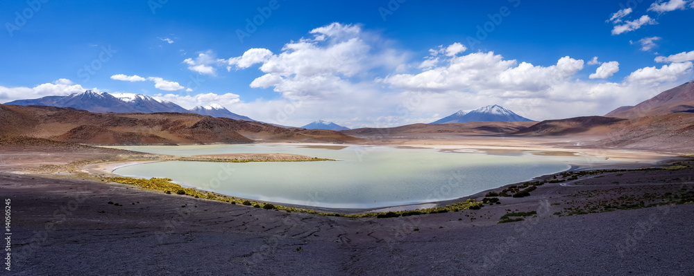 Laguna Honda in sud Lipez Altiplano reserva, Bolivia Stock Photo ...