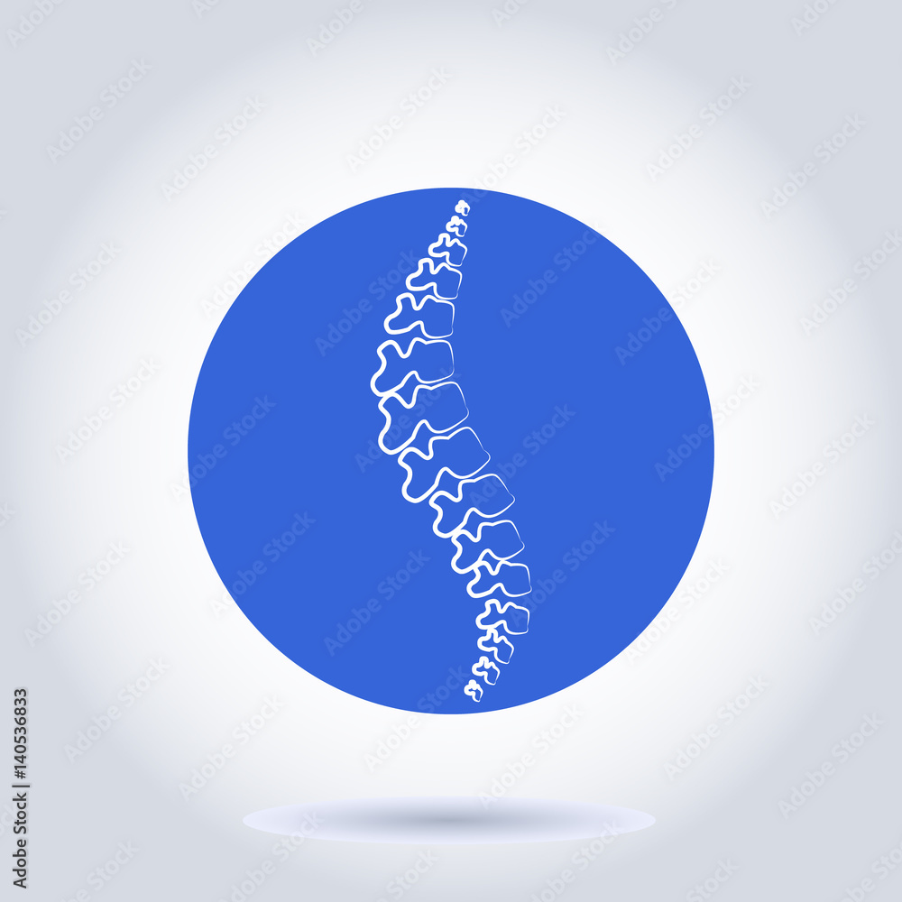 Human spine isolated on a white background. Vector illustration. Blue ...