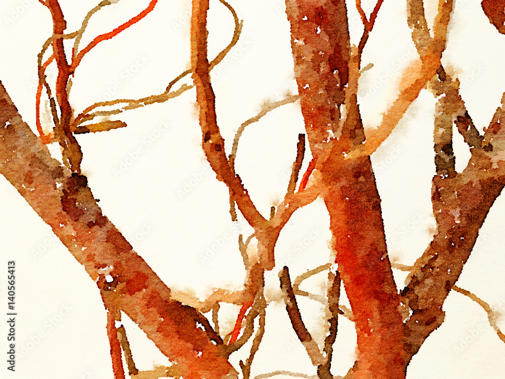 Digital watercolor painting of branches of a tree with a light ...