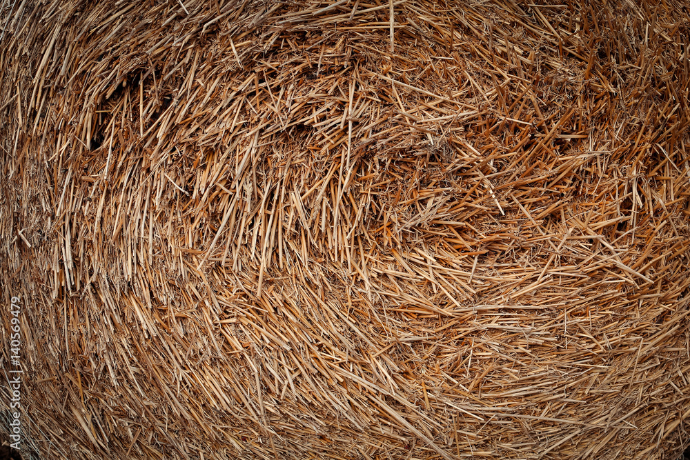 Close-up of a round hay bale Stock Photo | Adobe Stock