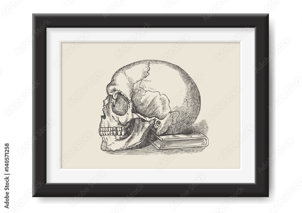 Anatomy Drawing Frame - Infoupdate.org