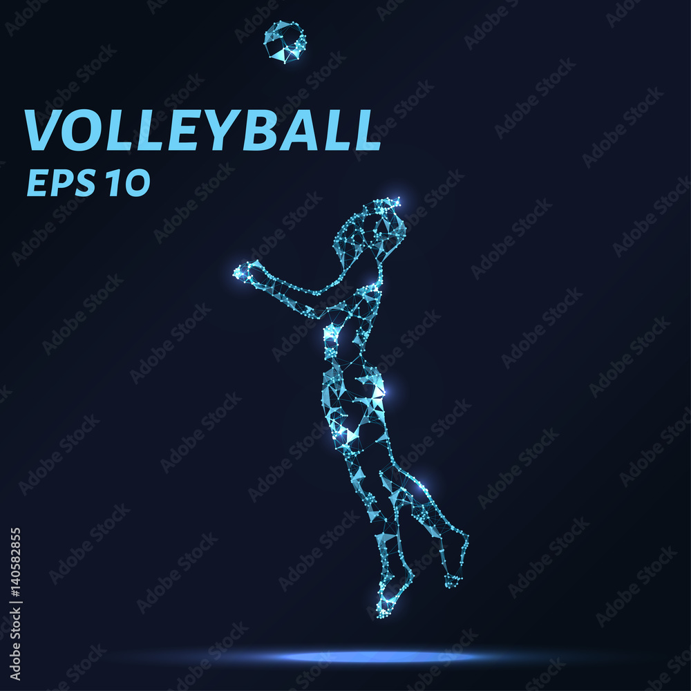 The volleyball player consists of points, lines and triangles. The ...