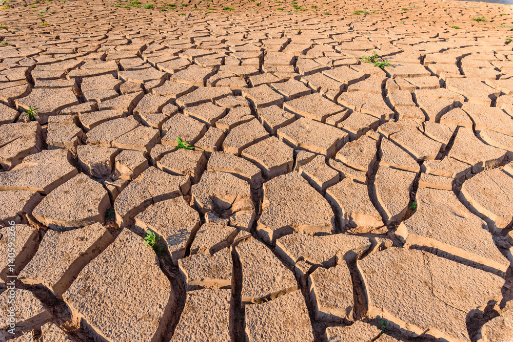 arid soil pattern Stock Photo | Adobe Stock