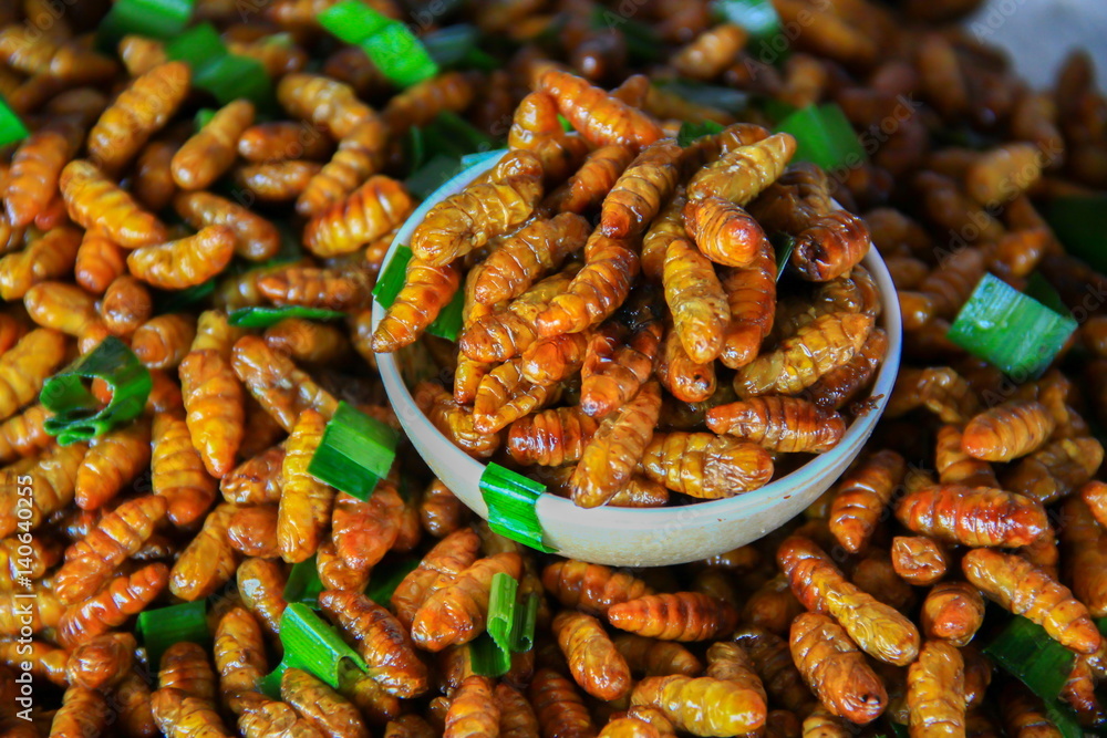 Worm insect fried crispy / fried silk worms bamboo insect protein rich ...