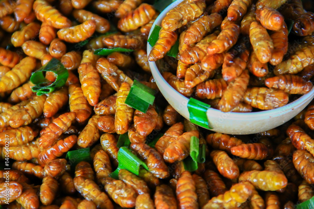 Worm insect fried crispy / fried silk worms bamboo insect protein rich ...