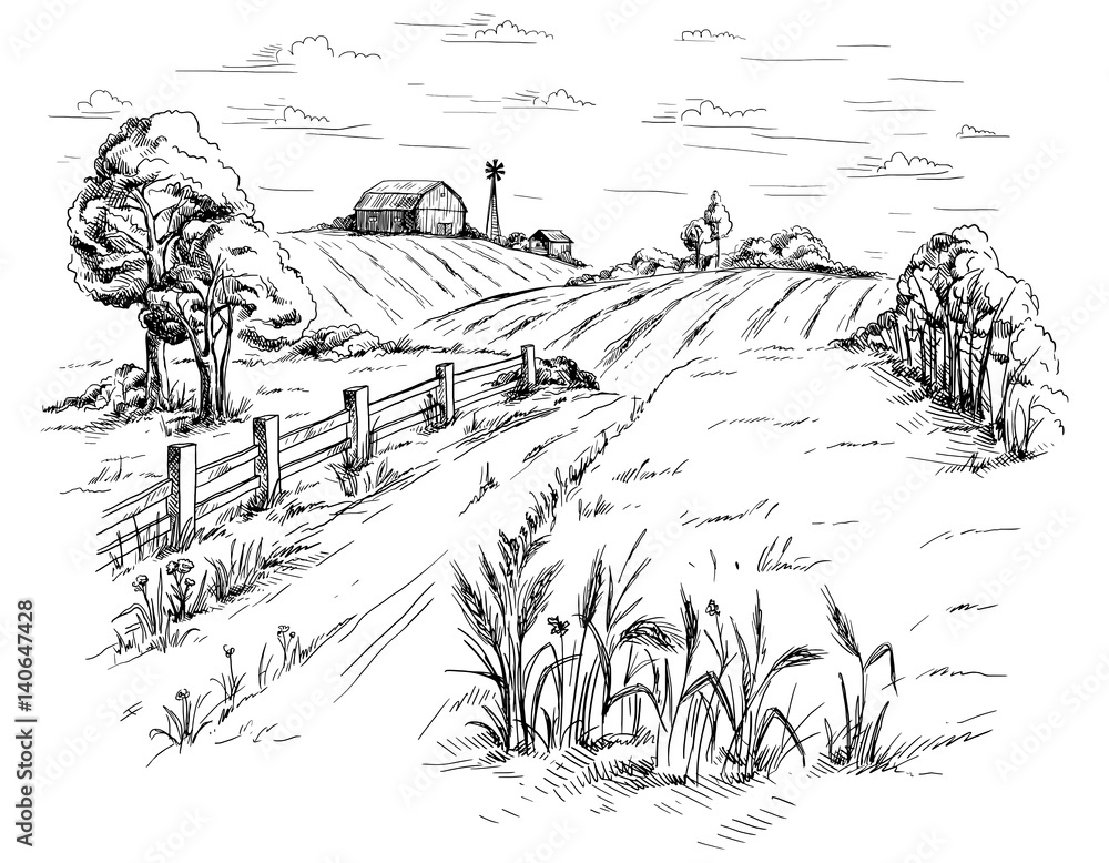 Rural landscape field wheat in graphical style. Hand drawn and ...