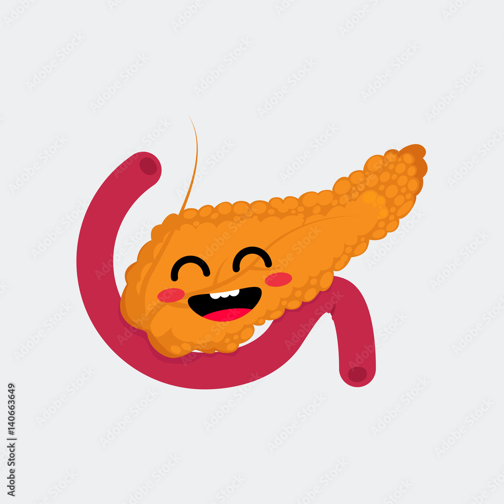 Pancreas vector illustration Stock Vector | Adobe Stock